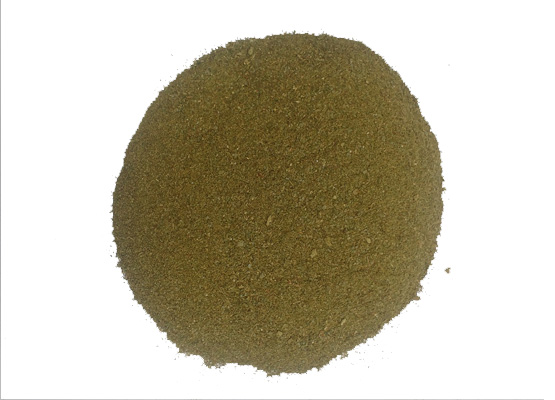 Tzumi Muraya - Chacruna